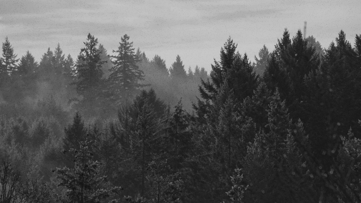 Enduring Planet – Enduring Ventures Company