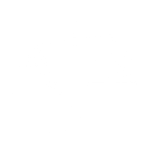 Custom Government Software Development