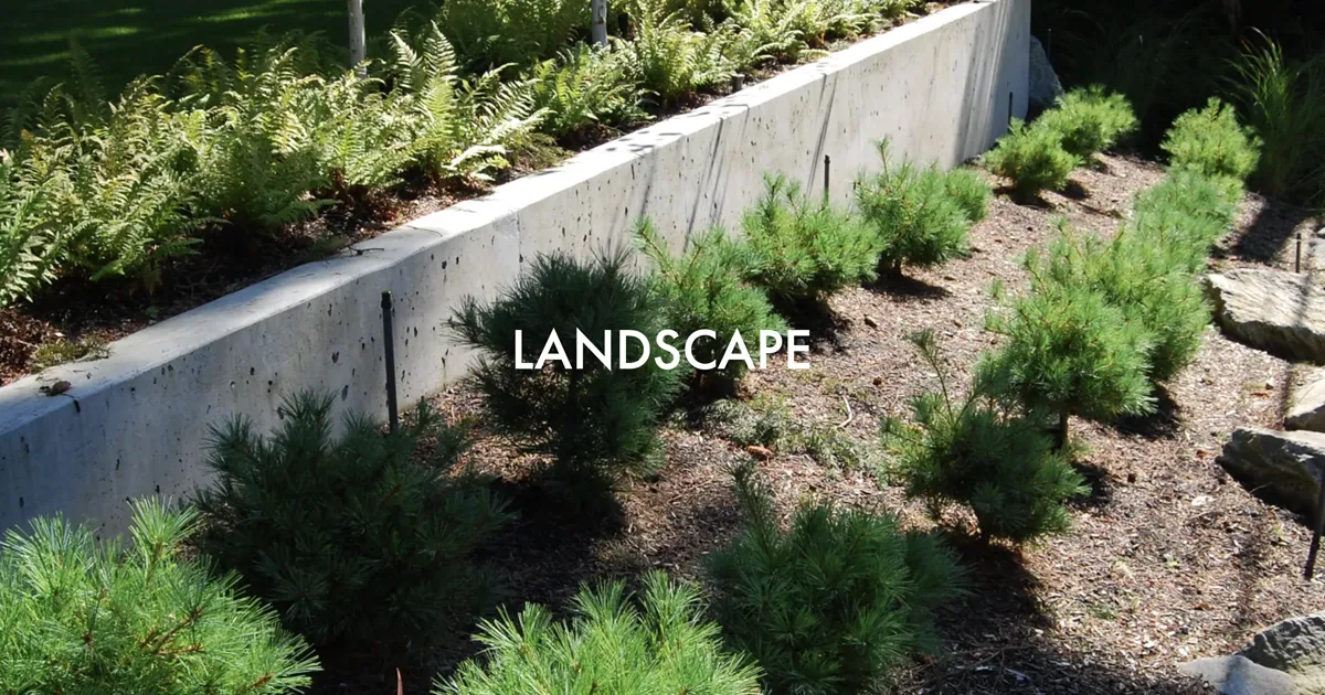 Portfolio - Landscape