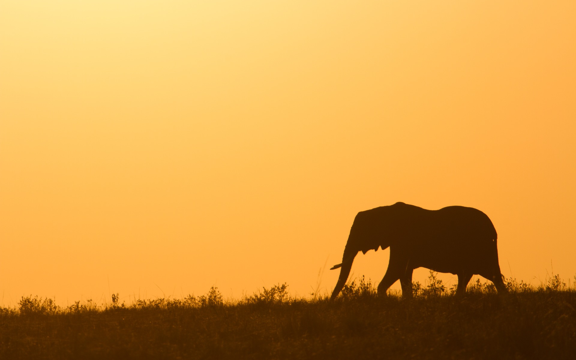 Research and Reports - African People & Wildlife