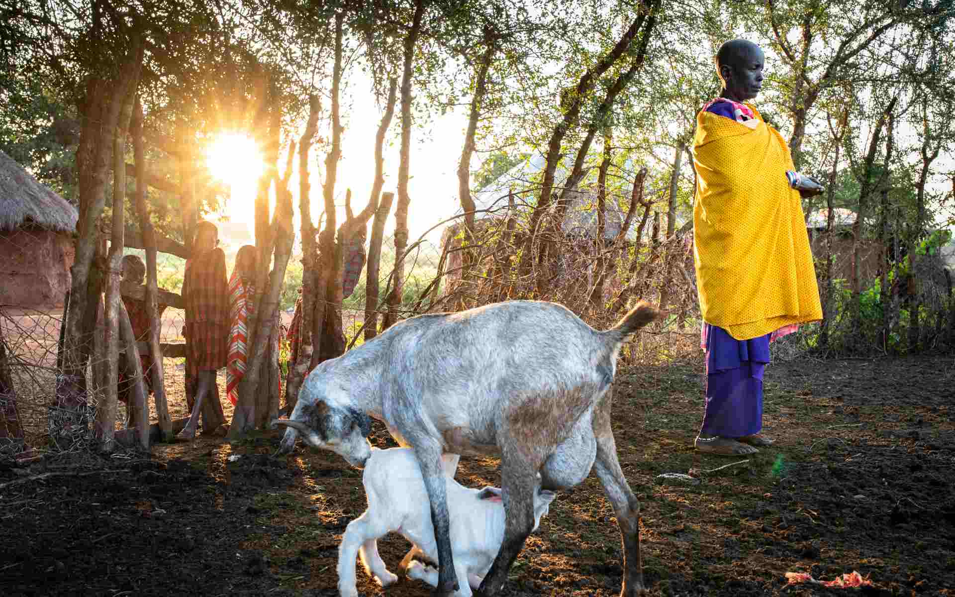 A Tradition to Empower