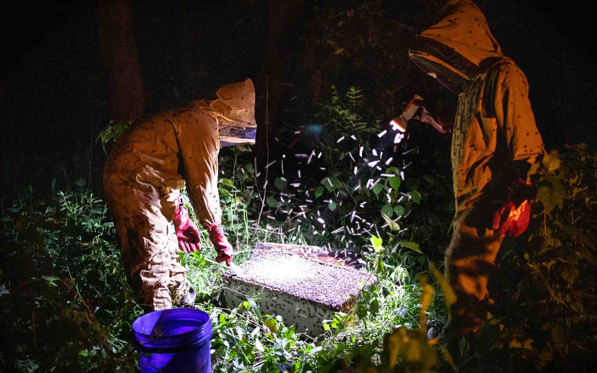 A Tradition to Empower