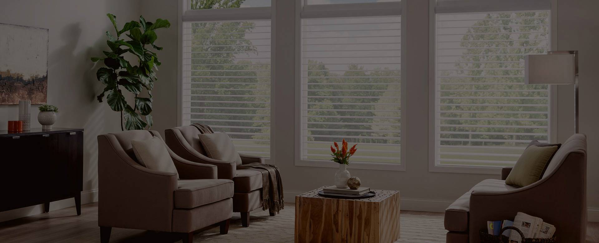Arizona Shutters and Blinds (20+ Years as Arizona's #1 Provider)