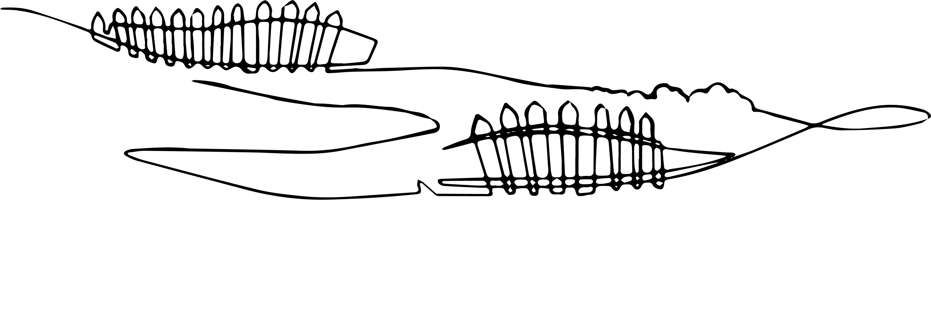 Loyal VC — A global venture fund