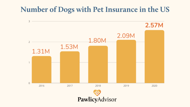 Your Guide to Animal Liability Insurance - PetScreening