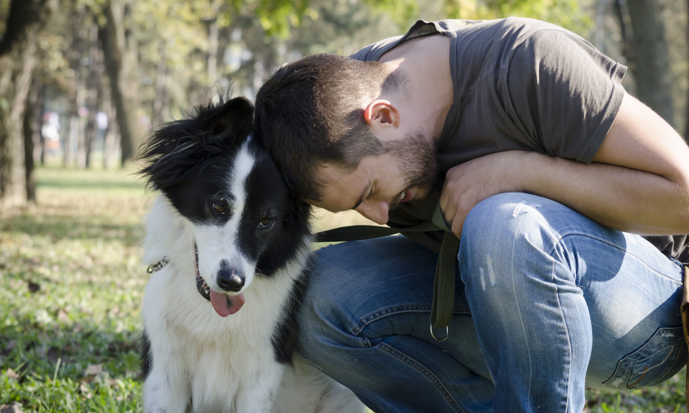 Your Guide to Animal Liability Insurance - PetScreening