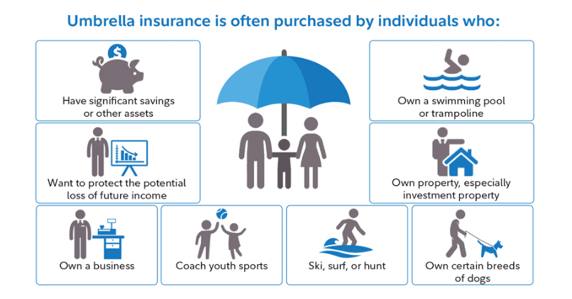 Pet Liability Insurance for Renters: A Definitive 2023 Guide - PetScreening