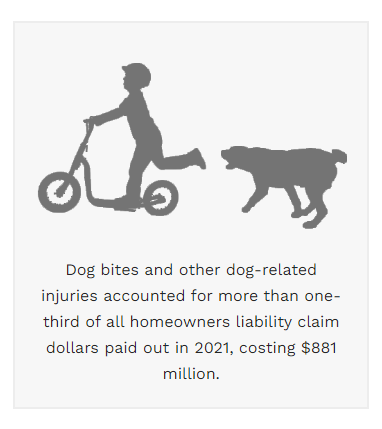 What You Need to Know about Dog Bite Insurance - PetScreening