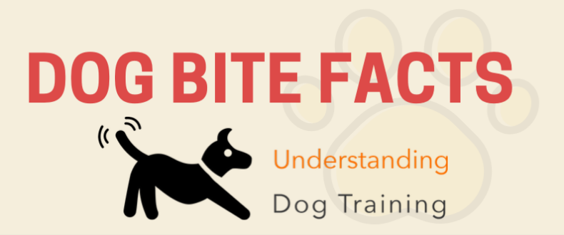 What You Need to Know about Dog Bite Insurance - PetScreening