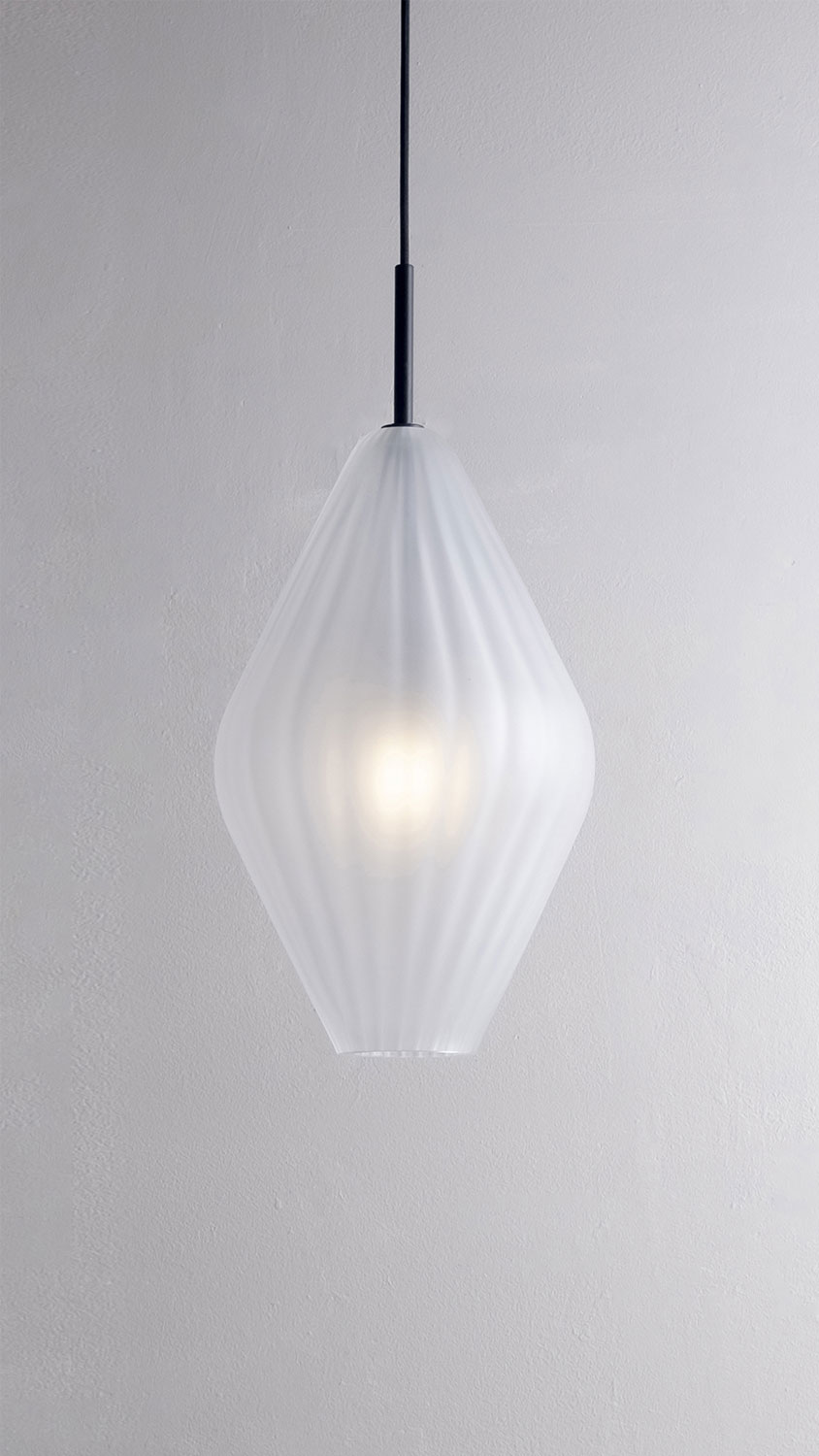 Bailey by Tom Fereday