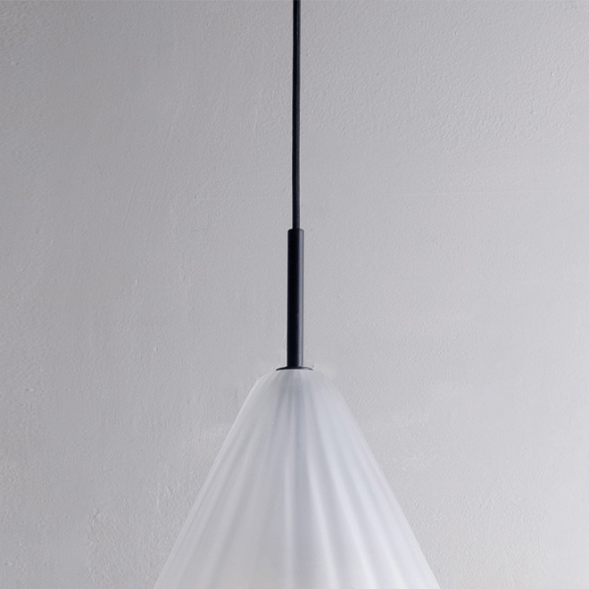 Bailey by Tom Fereday