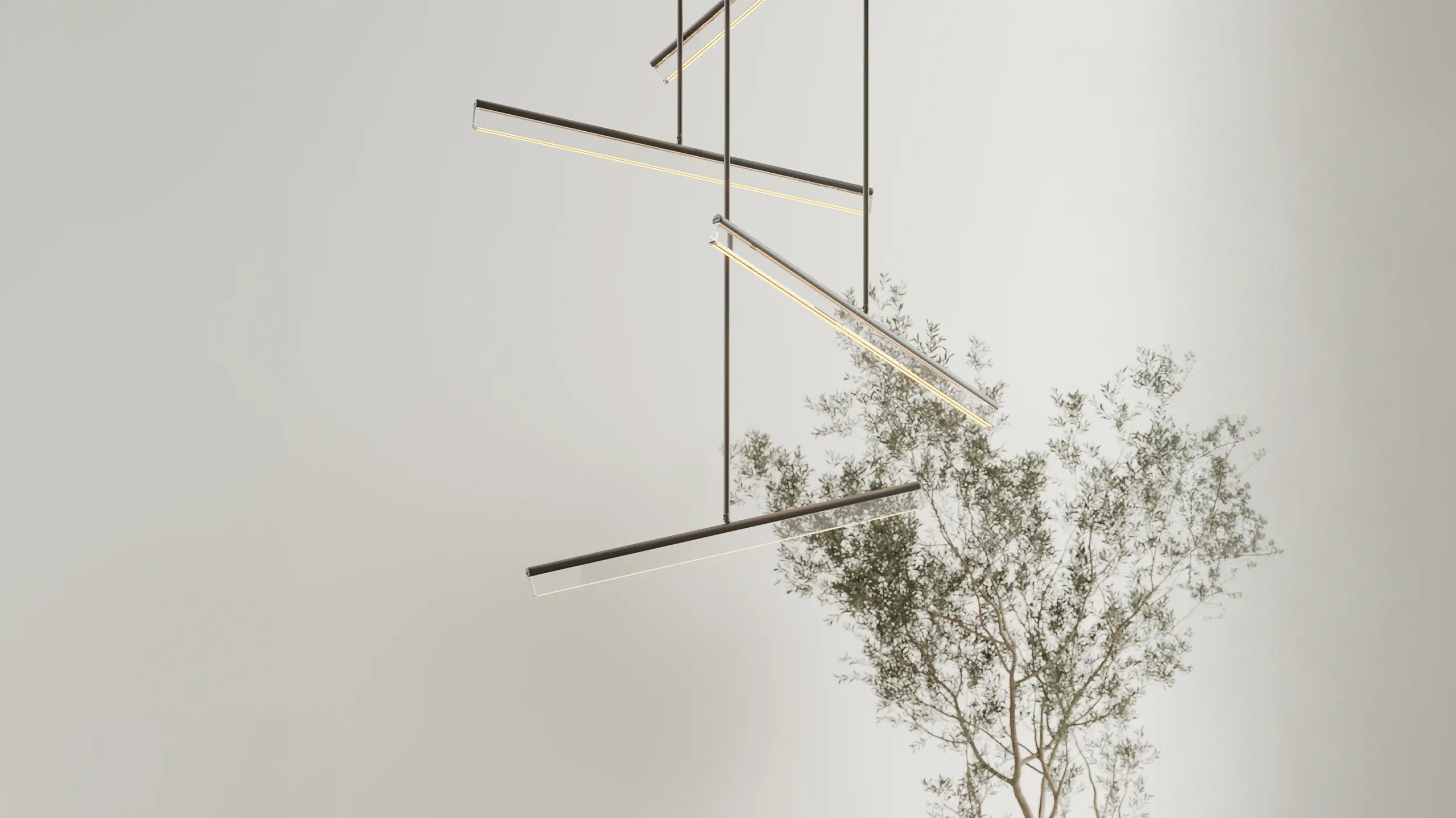 Napier by Scott Fitzsimons