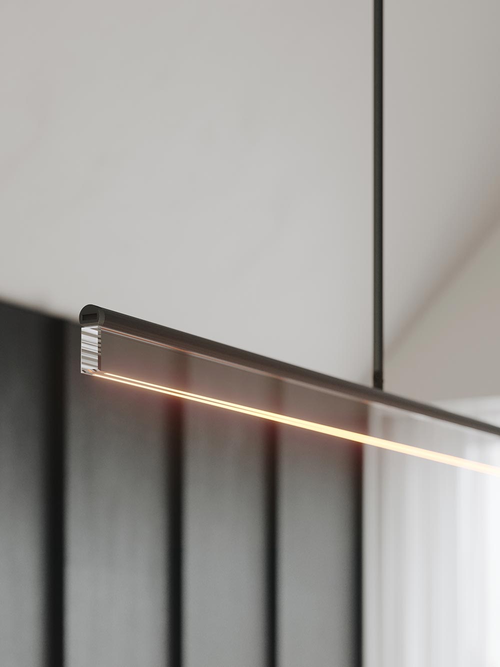 Napier by Scott Fitzsimons