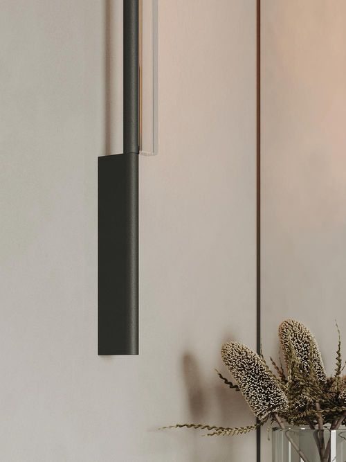 Napier by Scott Fitzsimons