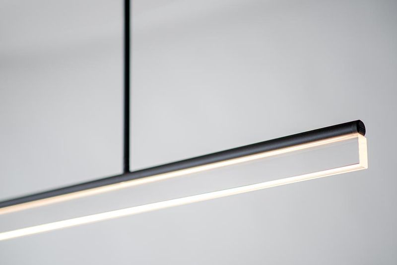 Napier by Scott Fitzsimons