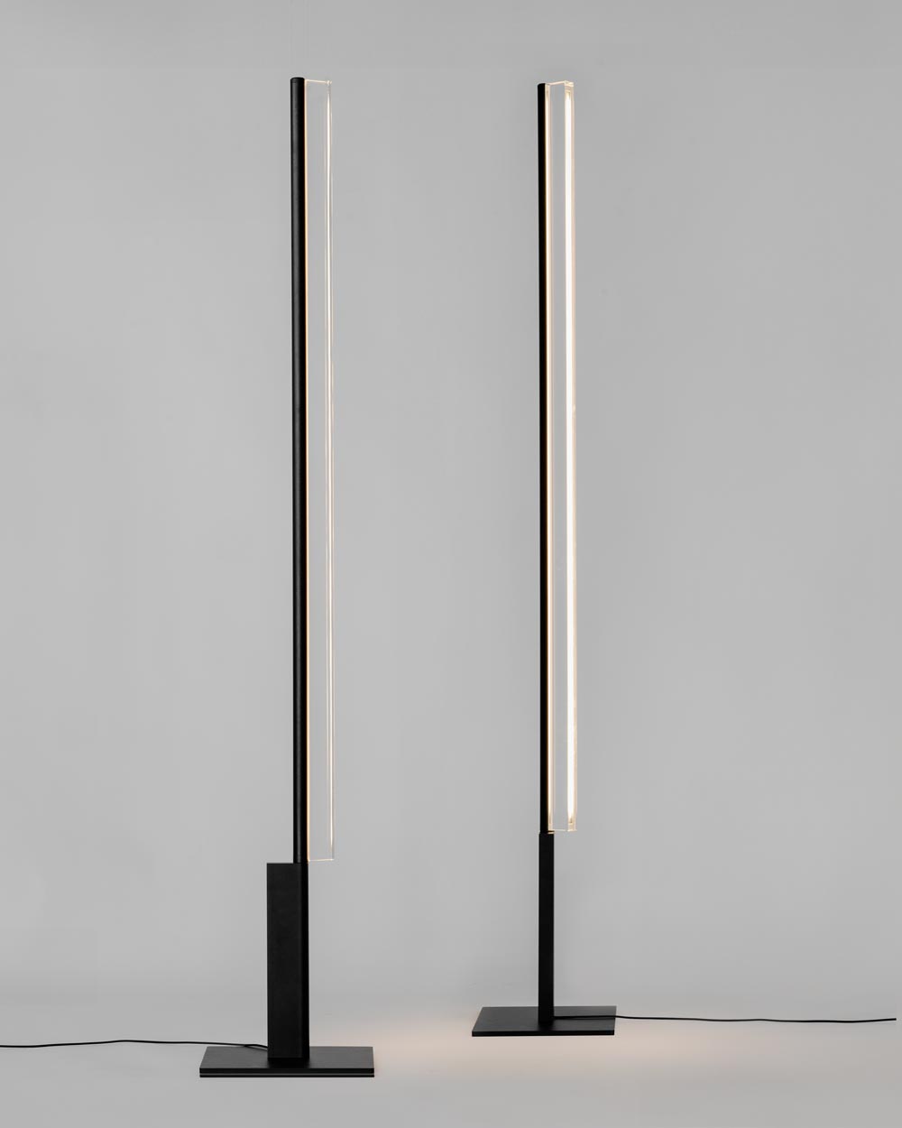 Napier by Scott Fitzsimons