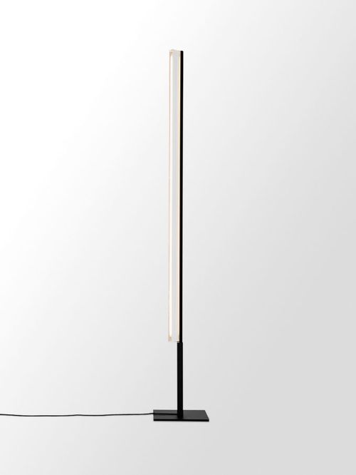 Napier by Scott Fitzsimons