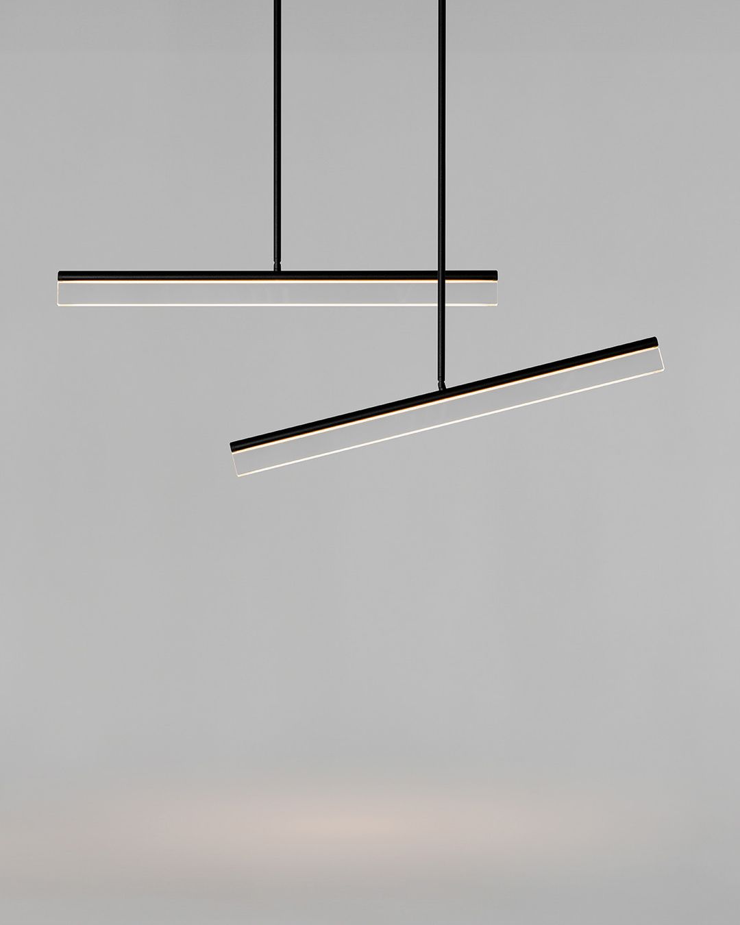 Napier by Scott Fitzsimons