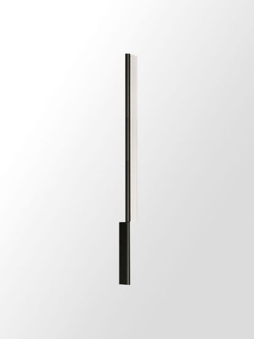 Napier by Scott Fitzsimons