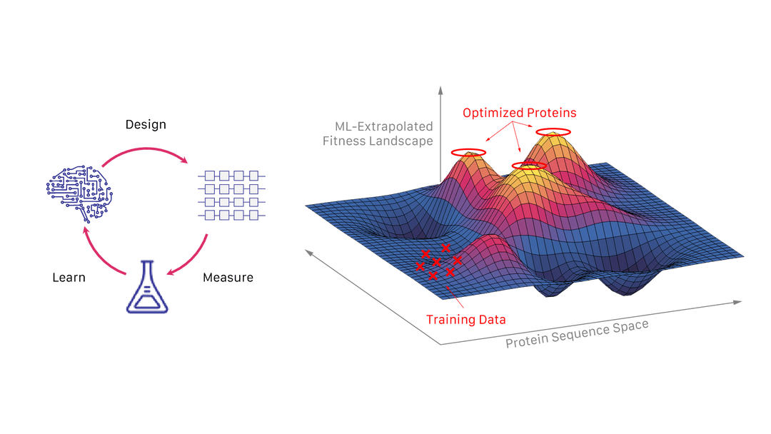 Products | OpenProtein.AI