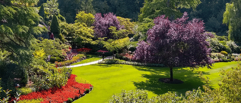 Searles | Why Fertilise Your Lawn In Spring?