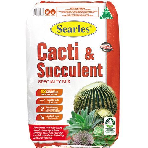 Searles | Cacti & succulents growing