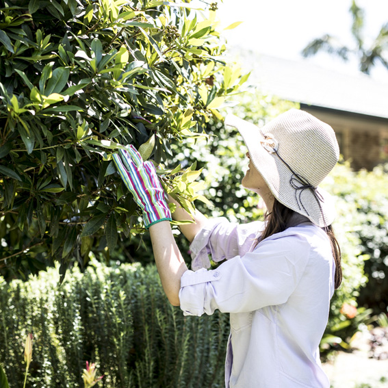 Searles | Prevent gardening sprains and strains - Safe gardening methods