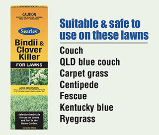 Searles | Control Clover in lawns - Treatment