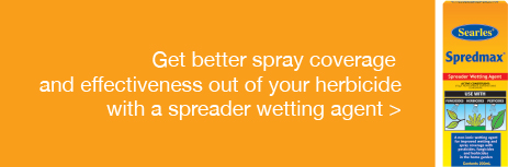 Searles | Control Bindii - Treatment