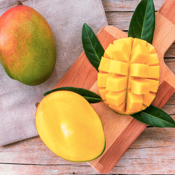 Searles | How to Grow Mangoes