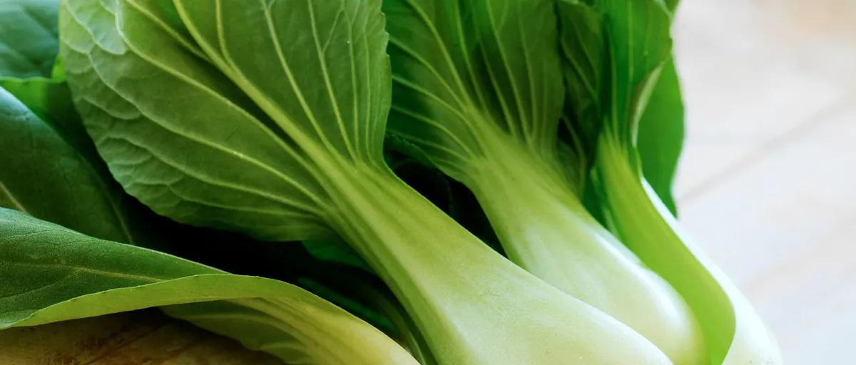 Searles | How to Grow Pak Choi