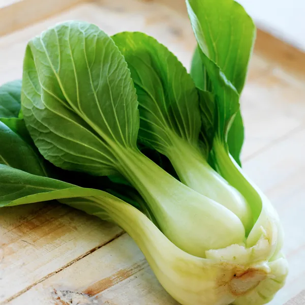 Searles | How to Grow Pak Choi