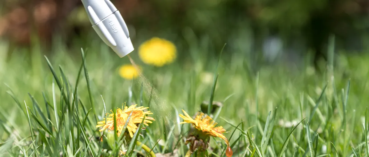 Searles | Better weed spraying tips