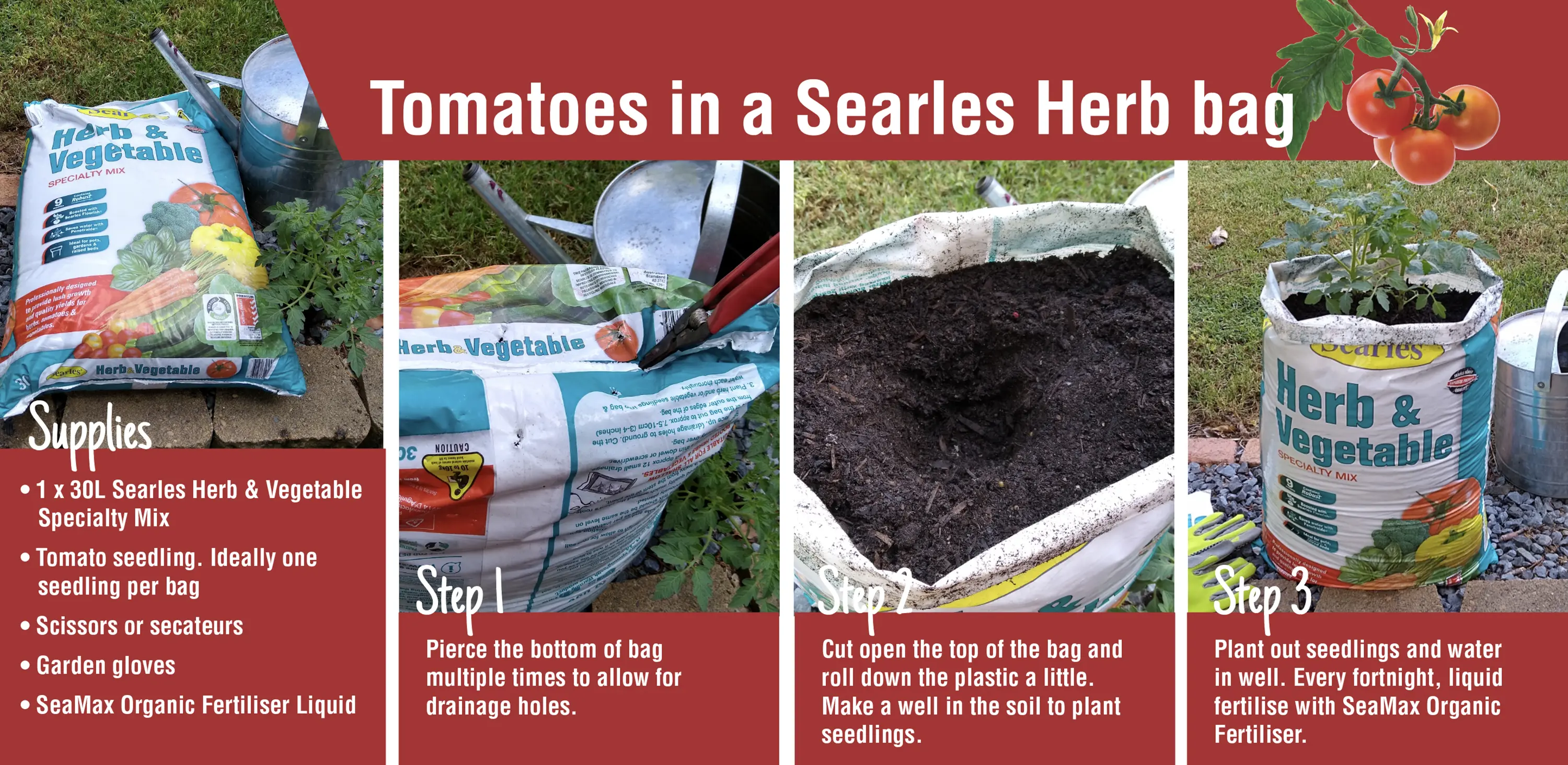 Searles | Vegetables in a soil bag