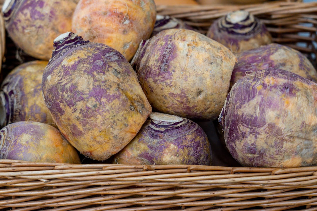 Growing Rutabaga To Perfection