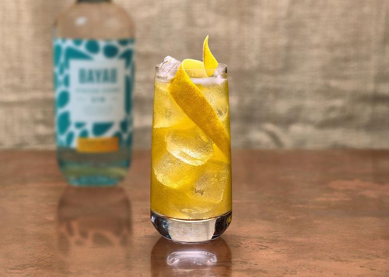 Bayab Gin – Premium Copper Distilled Gin from Africa