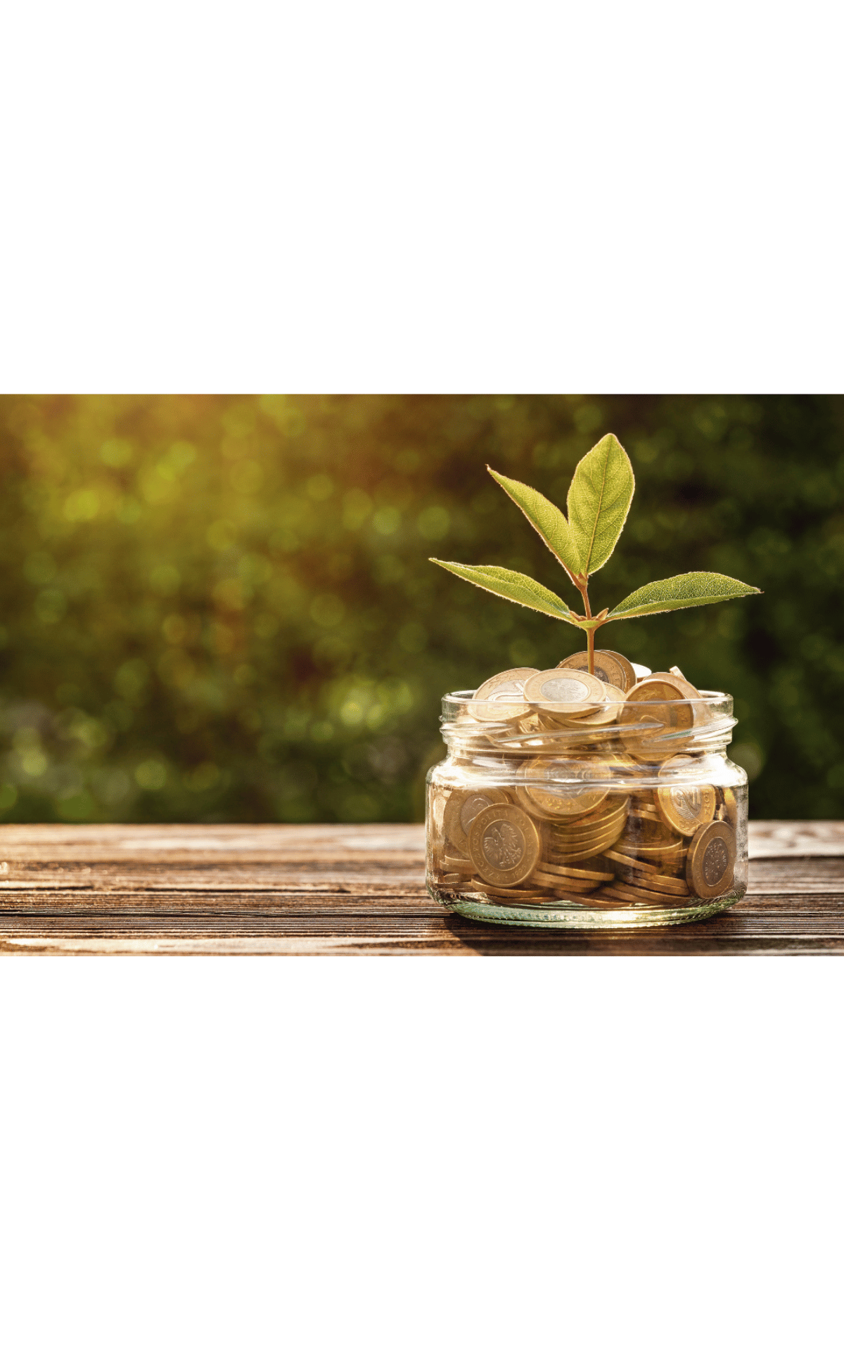 Smart Charging Home Page - Jedlix