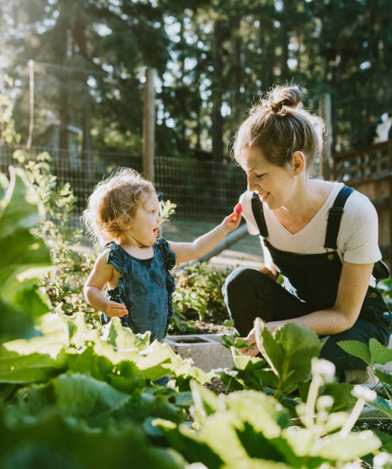 About Associa Arizona | HOA Management Company