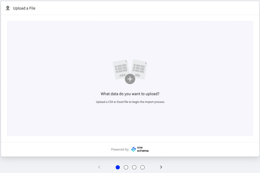 Tutorial: How to use the OneSchema Branding Suite