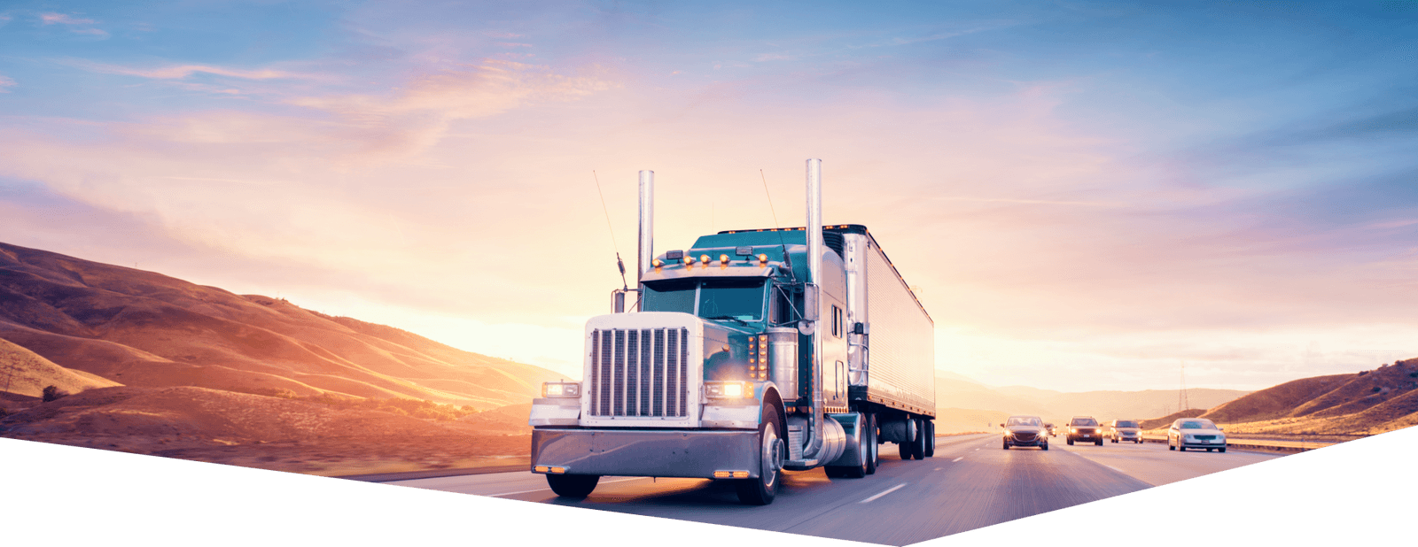 Download Trucker Guide