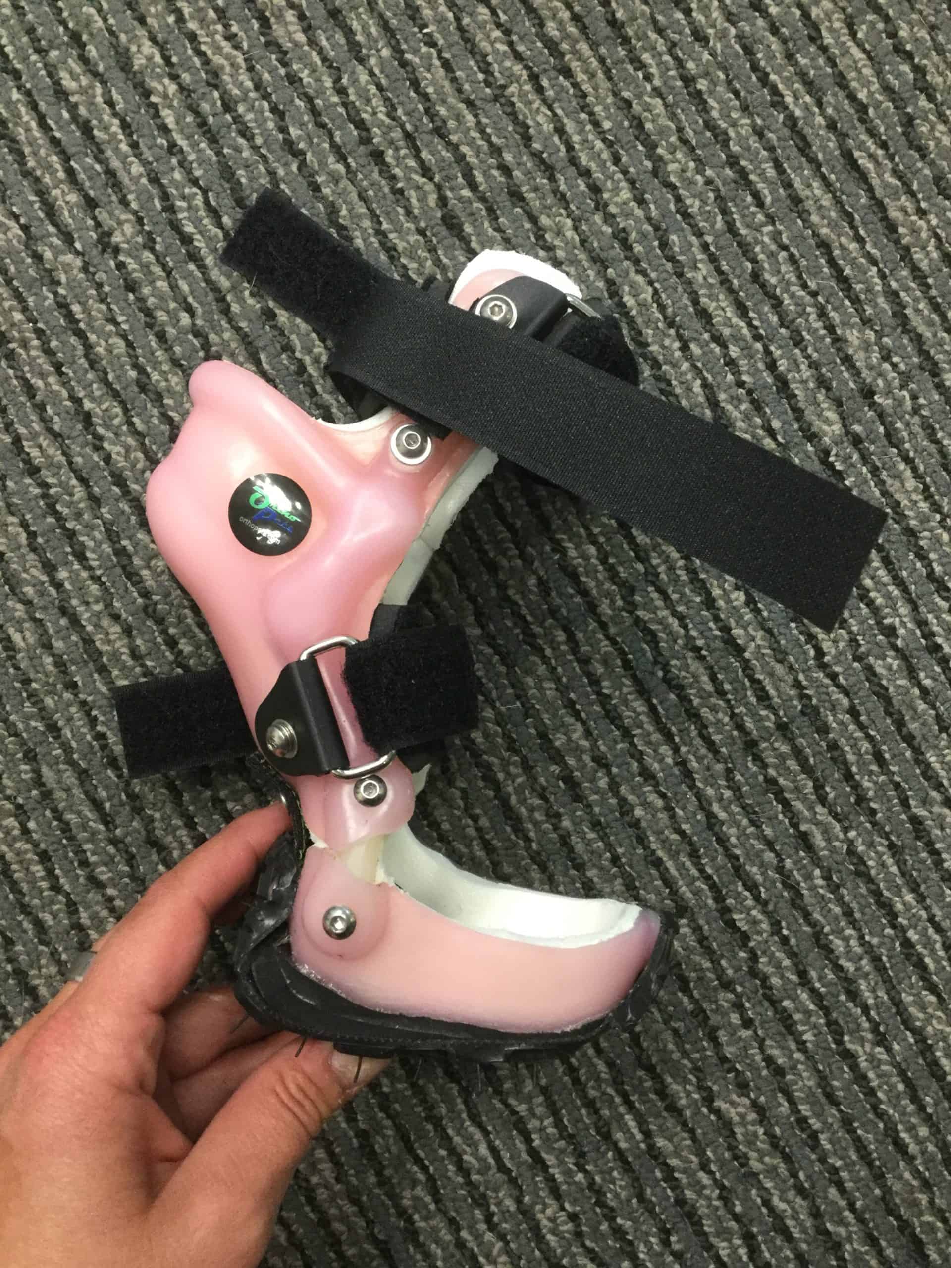 Lucy and Her OrthoPets Tarsus Device (Dog Ankle Brace)