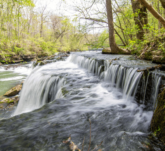 Duck River Watershed Society
