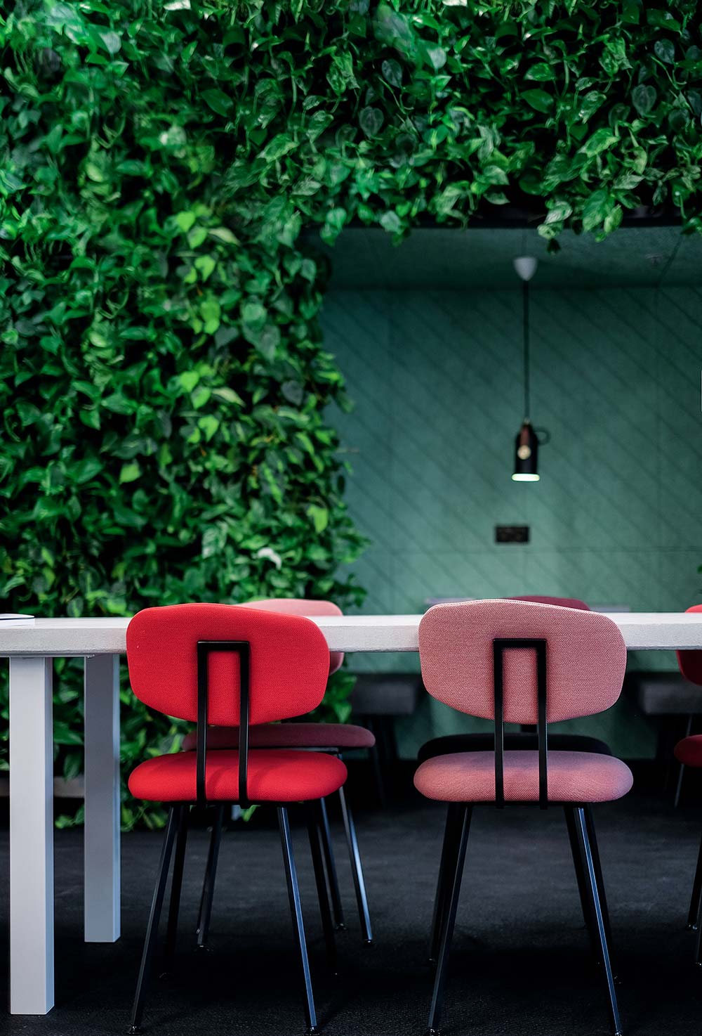 EDGE Olympic | Company Story