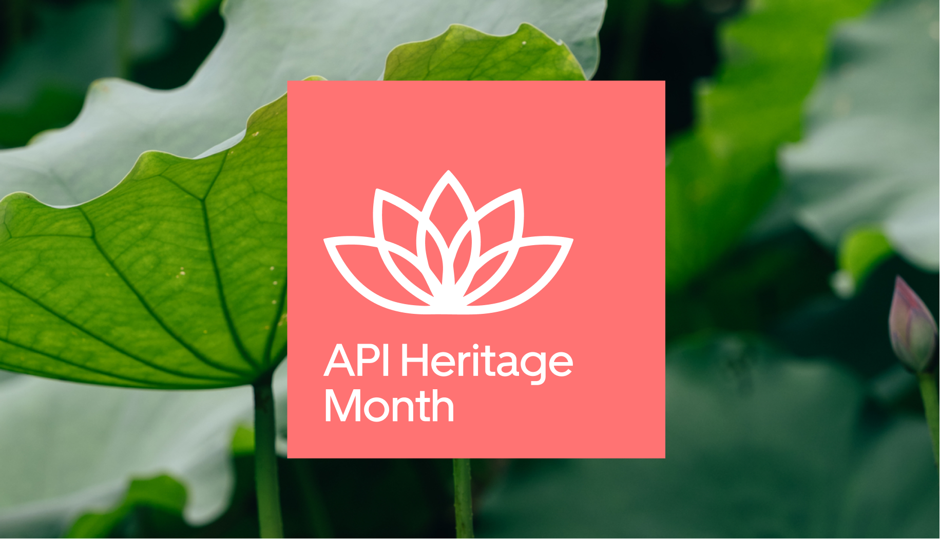 Uber. API Heritage Month — Analogue