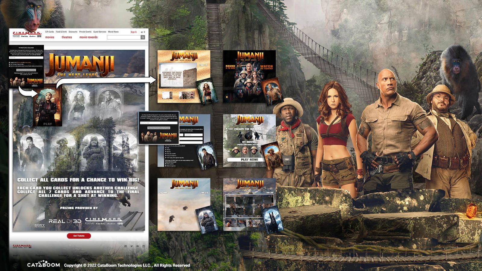 Case Study for Shell | CataBoom