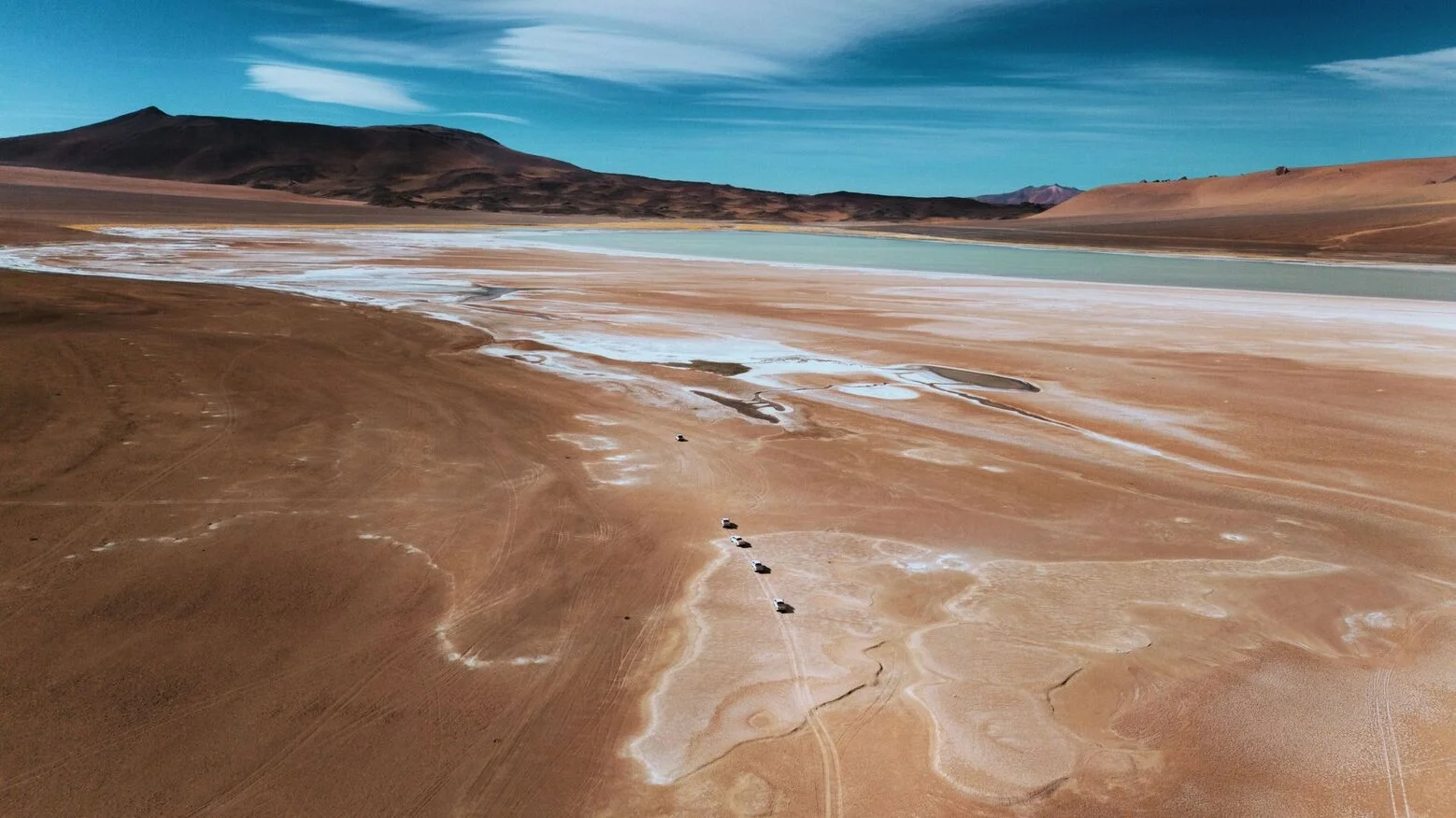 Encounters in Argentina's Atacama: Strange, Large, and Deadly - Stories ...