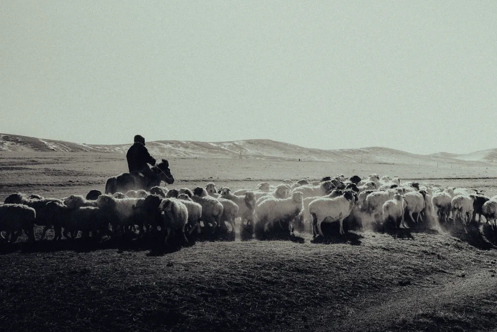 Same Same, But Different: Life for the Nomads of Mongolia Today ...
