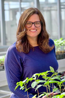 About Enko: our mission, team members, leadership, and boards