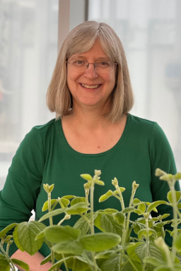 About Enko: our mission, team members, leadership, and boards