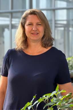 About Enko: our mission, team members, leadership, and boards